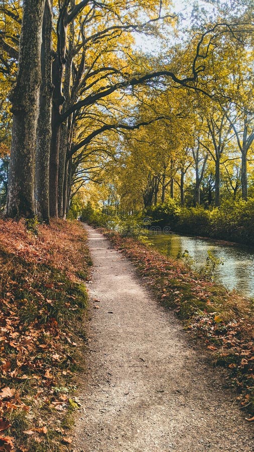 Walking Path between Trees Near a Water Canal during Autumn Fall. Stock ...
