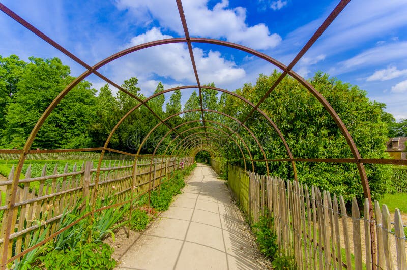 Walking Path in Versailles Gardens, France Stock Photo - Image of ...