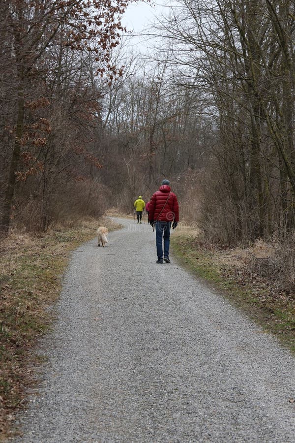 Walking on a Path in Winter Stock Image - Image of walking, landscape ...