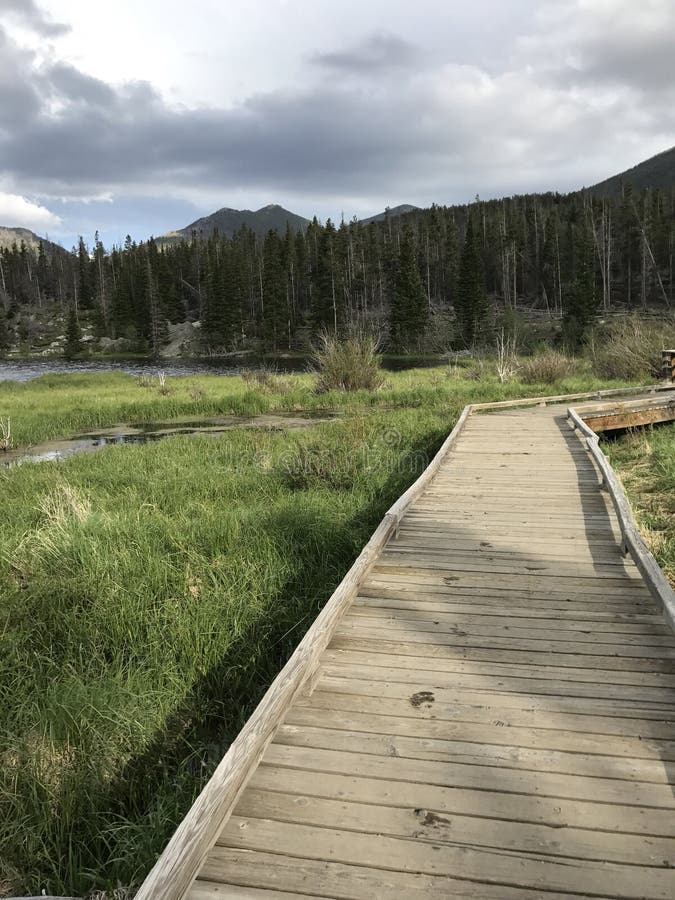 Walking path stock image. Image of hiking, colorado - 103450401