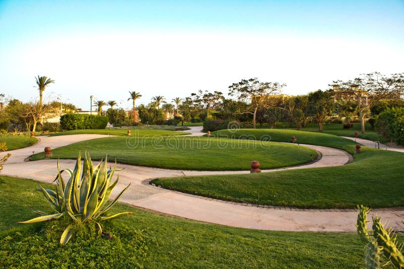 Walking paths stock image. Image of trail, green, palm - 13819967
