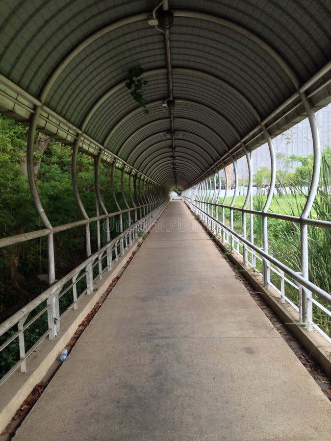 Walking paths stock image. Image of walking, perspective - 64430765