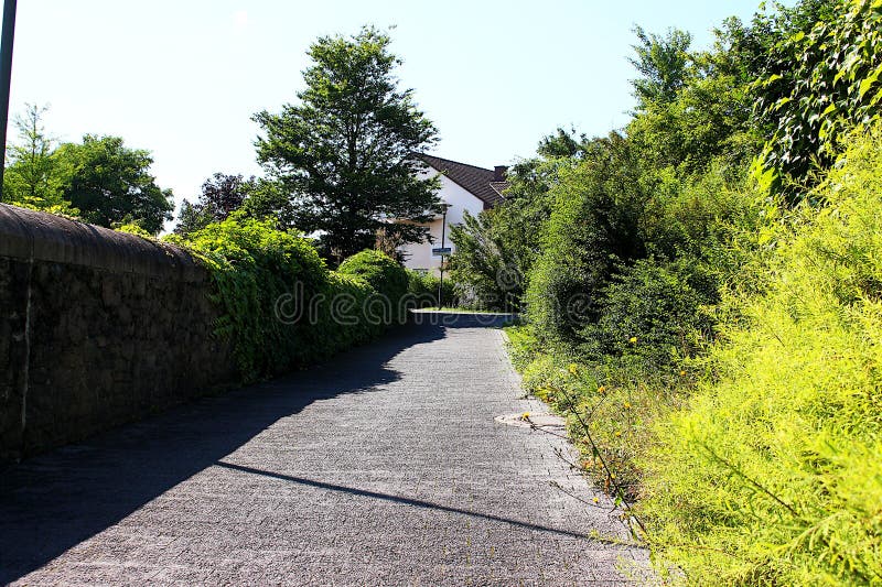Walking paths. stock image. Image of leaf, walking, garden - 331947161