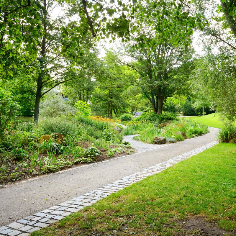 Walking paths stock photo. Image of outside, clearing - 82791028