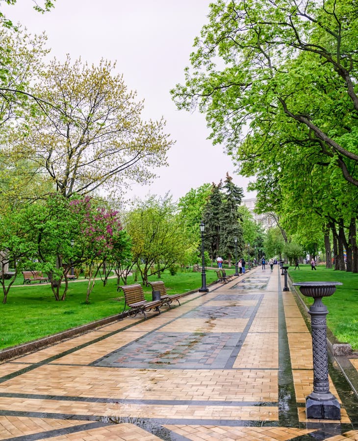 Walking paths in the park stock image. Image of sidewalk - 199701883