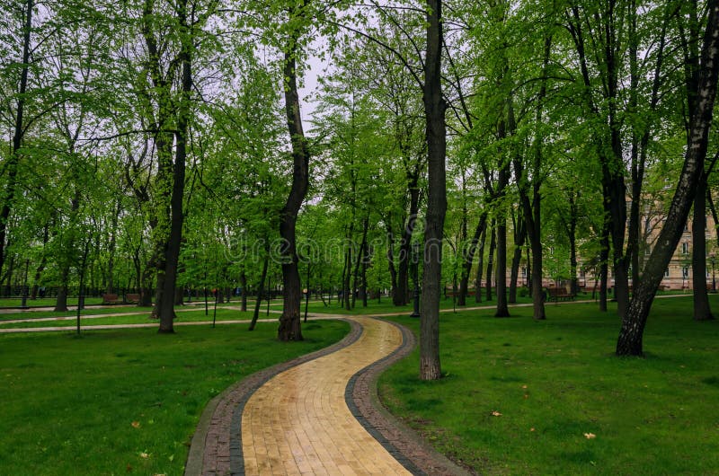 Walking Paths in the Park, Benches for Rest, and Green Trees Stock ...
