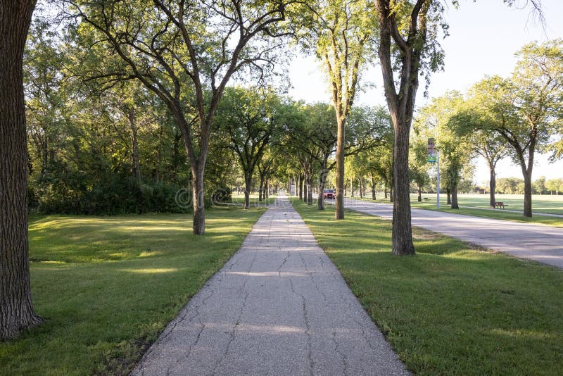 Walking Paths Surrounded by Trees in a Park Stock Image - Image of ...