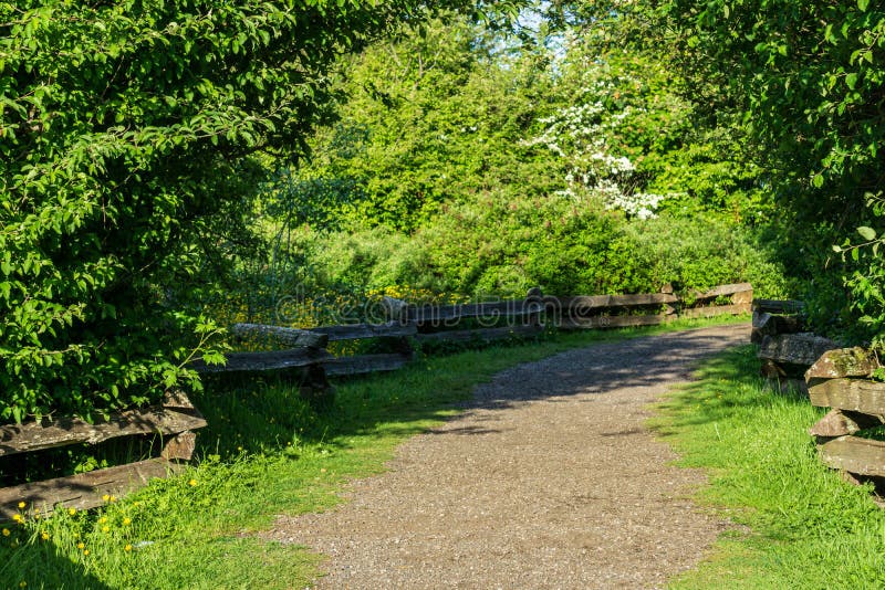 Walking Pathway in a Green Forest Park Sunny Spring Day Stock Photo ...