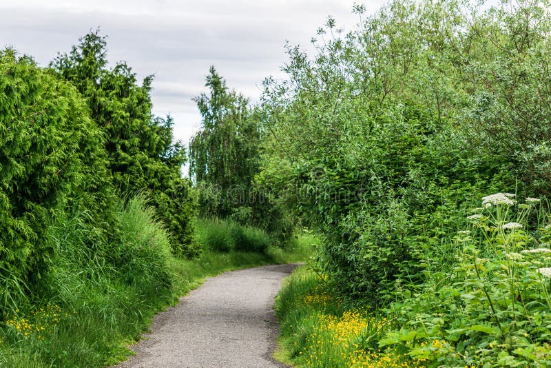 Walking Pathway in a Green Forest Park Sunny Spring Day Stock Image ...