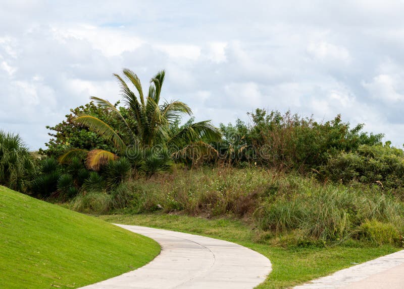 Walking Pathway in the Park with Palm Tree Plants Stock Photo - Image ...
