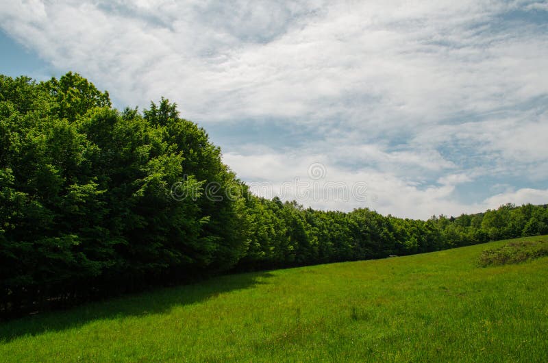 Walking in the Quiet Nature of Spring is Invaluable Stock Photo - Image ...