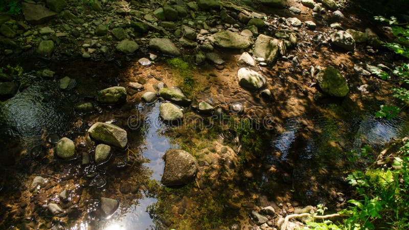 Walking in the Quiet Nature of Spring is Invaluable Stock Image - Image ...