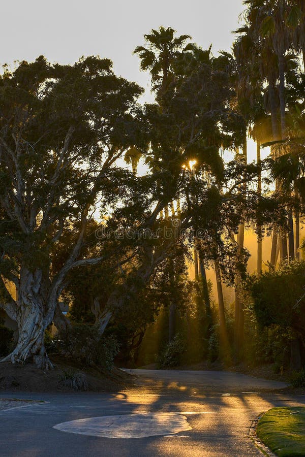 Rays of Light stock photo. Image of light, beach, rays - 153417840