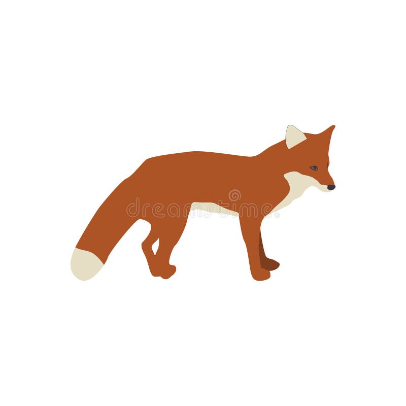 Fox Side View Stock Illustrations – 1,104 Fox Side View Stock ...