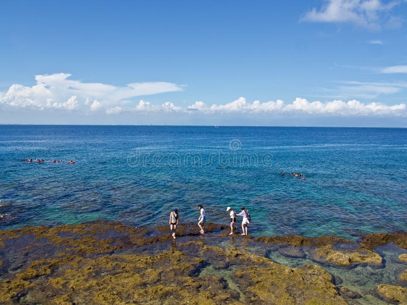 Walking on Reef stock image. Image of blue, seaside - 152543381