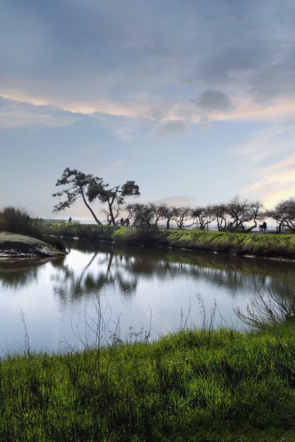 Walking and relaxing stock photo. Image of shadows, relaxing - 145220464