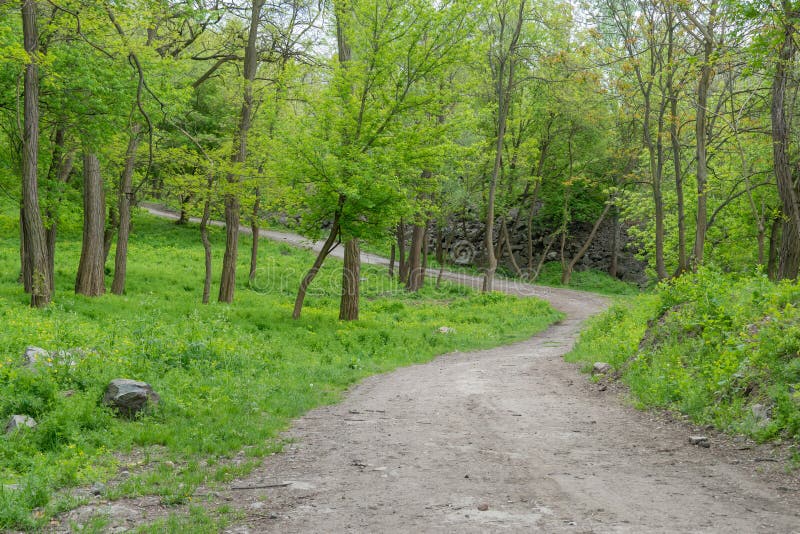 Walking Road in Deciduous Forest of Trees and Shrubs. Path in ...