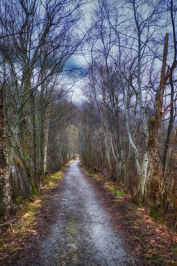Walking road stock image. Image of mountain, background - 64473727