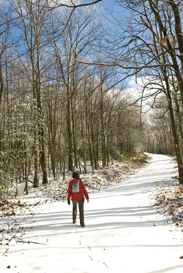 Walking on Road/Winter/Snow Stock Image - Image of walking, snowy: 7821439
