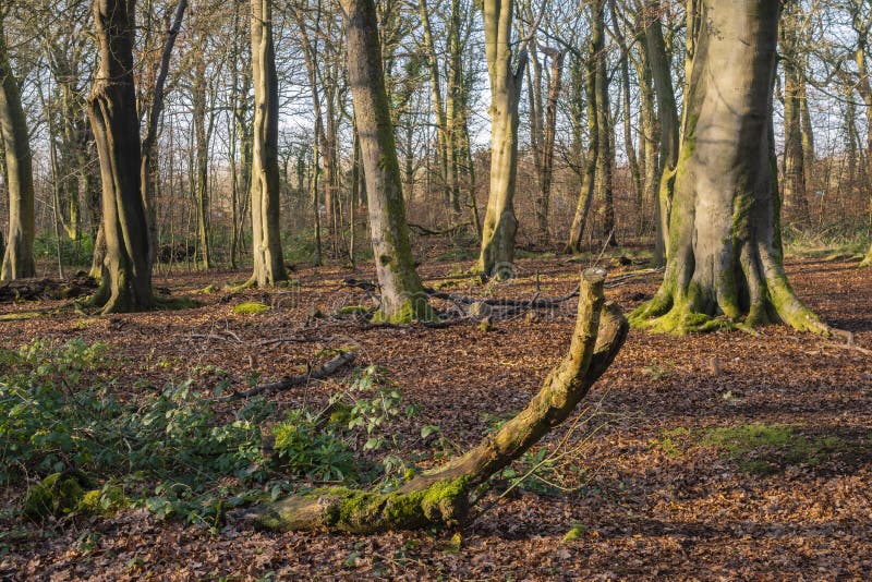 Walking the Settle Loop Above Settle and Langcliffe in the Yorkshire ...