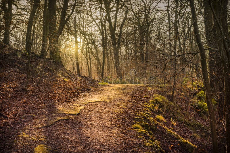 Walking the Settle Loop Above Settle and Langcliffe in the Yorkshire ...