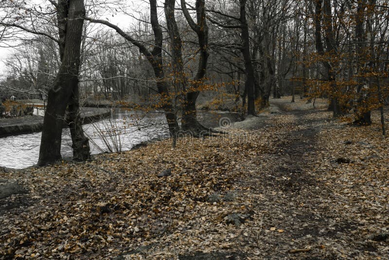 Walking the Settle Loop Above Settle and Langcliffe in the Yorkshire ...