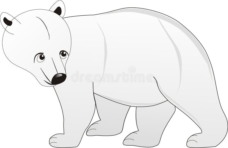 Walking Single White Color Bear Stock Illustration - Illustration of ...
