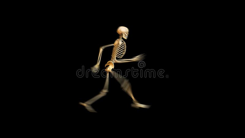 Walking Skeleton W/alpha Matte/loopable Stock Footage - Video of ...