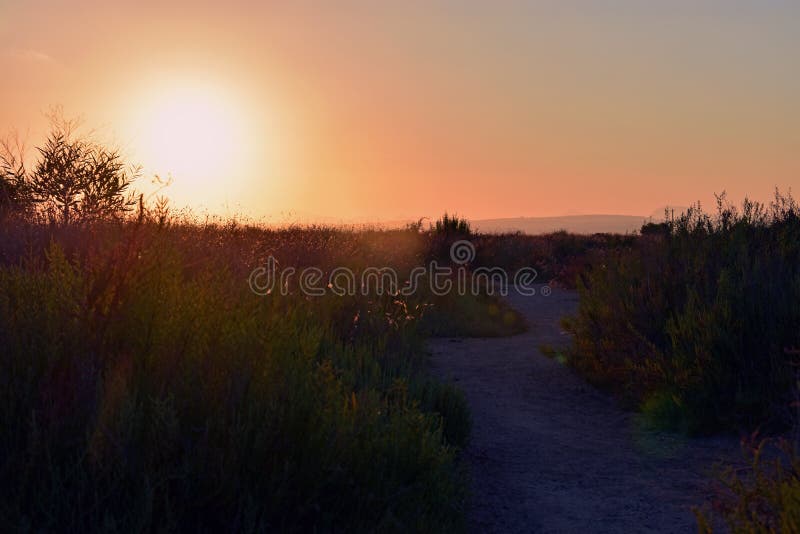 Walking into the Spanish Summer Sunset Stock Photo - Image of orange ...