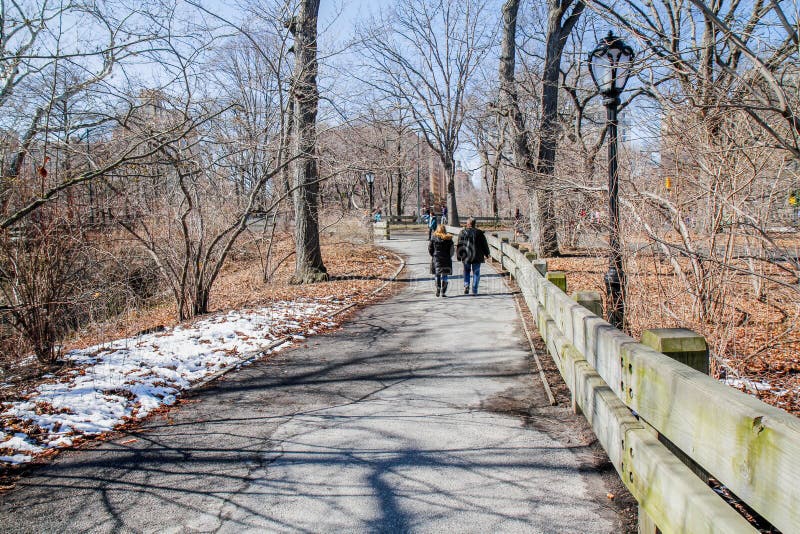 Walking at spring editorial stock image. Image of tree - 95834009