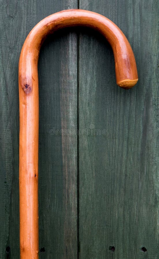 Walking Stick Standing Against a Garden Shed Stock Image - Image of ...
