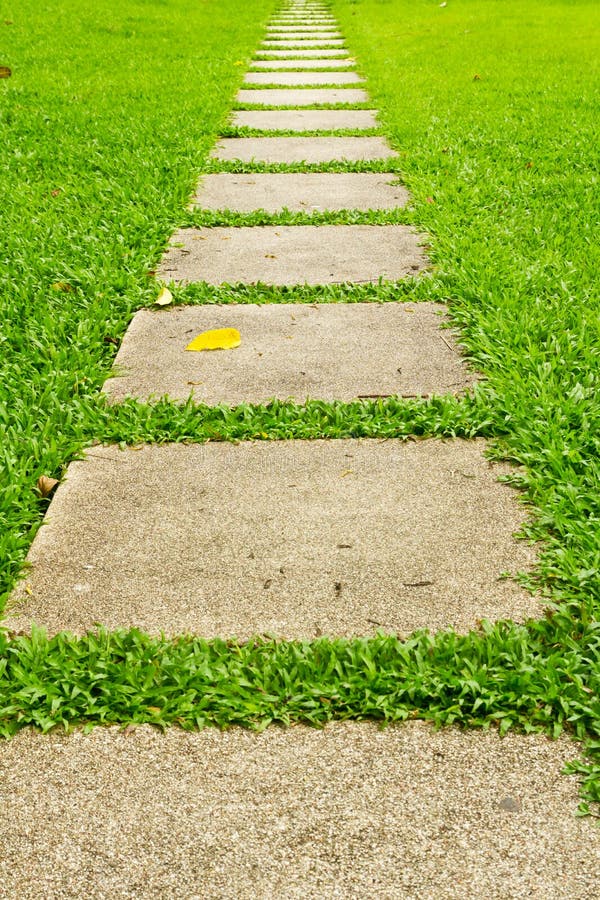 Walking stone stock photo. Image of nature, outside, foliage - 16521378