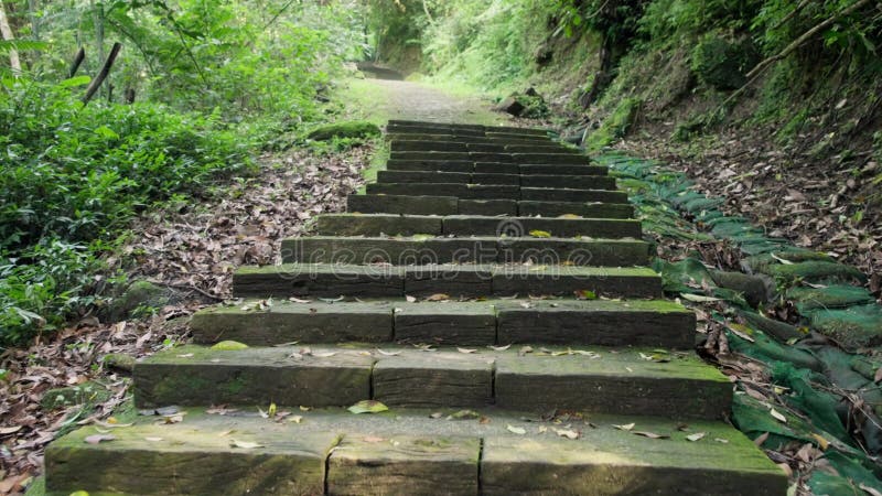 Walking on Stone Steps in the Forest Stock Video - Video of medium ...