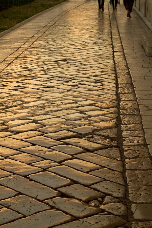 Walking a street of gold. stock photo. Image of shiny - 20234074