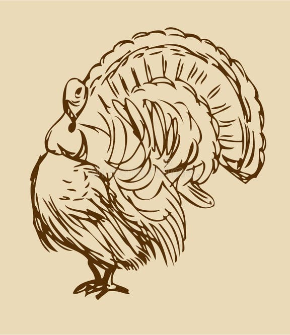 Walking Thanksgiving Turkey Stock Illustration - Illustration of smile ...