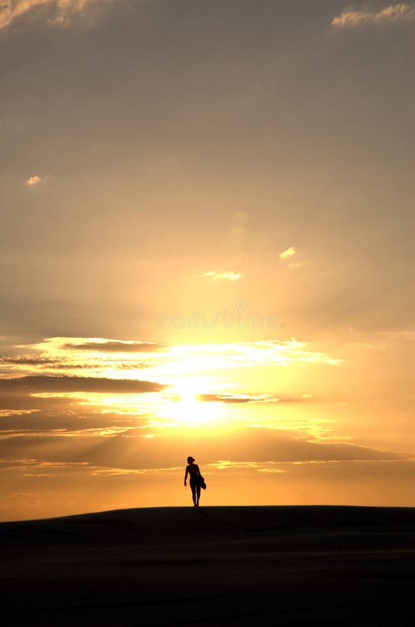 Fresno Sunset stock image. Image of photographer, tree - 5057795