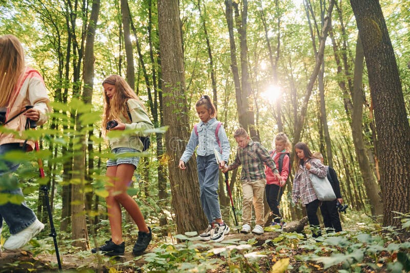 Walking Together. Kids in Green Forest at Summer Daytime Together Stock ...