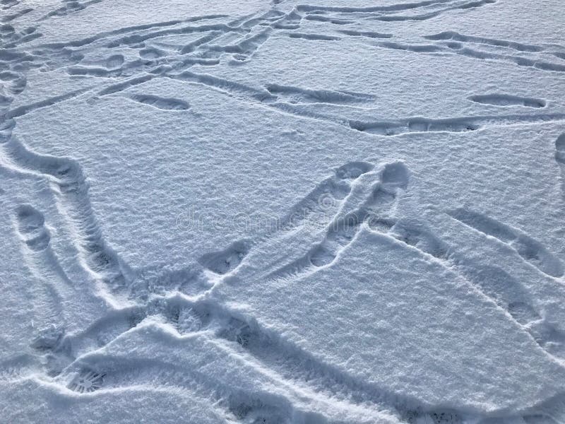 Walking Trace on Thick Snow Floor in Winter Stock Image - Image of ...