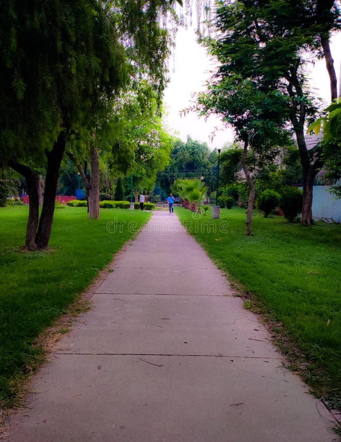 Walking Track Park on Swaroop Sagar Lake is Artificially Created Lake ...