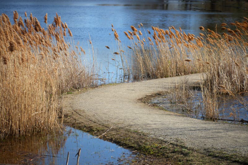 Marsh Discovery Trail, Kingsland Creek, Hackensack River, Meadowlands ...