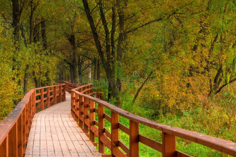 Walking Trail in the Autumn Empty Park Stock Image - Image of park ...