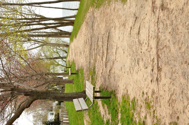Walking trail with benches stock photo. Image of grass - 14122544