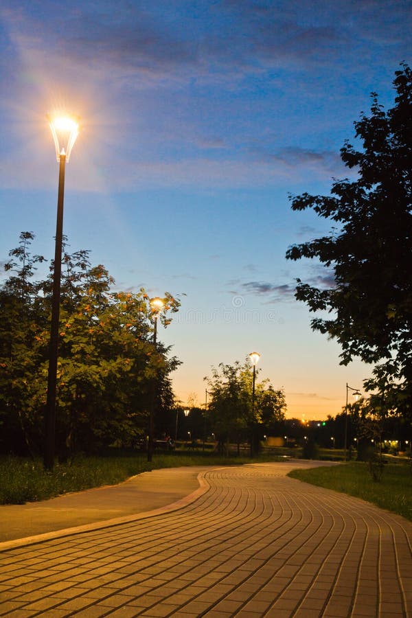 Walking Trail in Evening Park in Summer Stock Photo - Image of evening ...