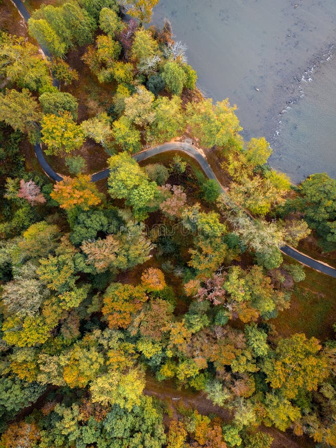 Walking Trail through Forest in Fall at River Edge Stock Photo - Image ...