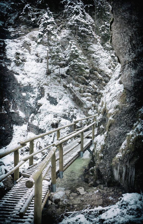 Walking Trail at Janosikove Diery, Slovakia Stock Photo - Image of ...