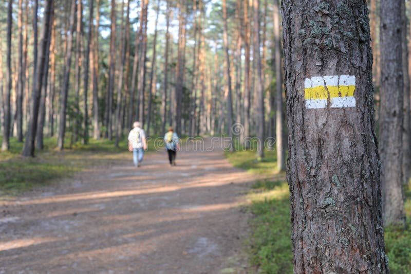 Walking Trail Marks and Signs on Trees Showing Direction for Hikers in ...