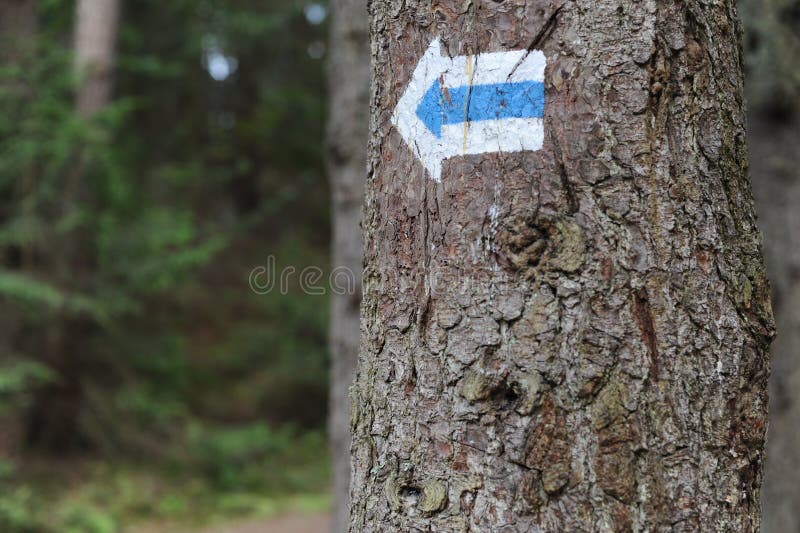 Walking Trail Marks and Signs on Trees Showing Direction for Hikers in ...