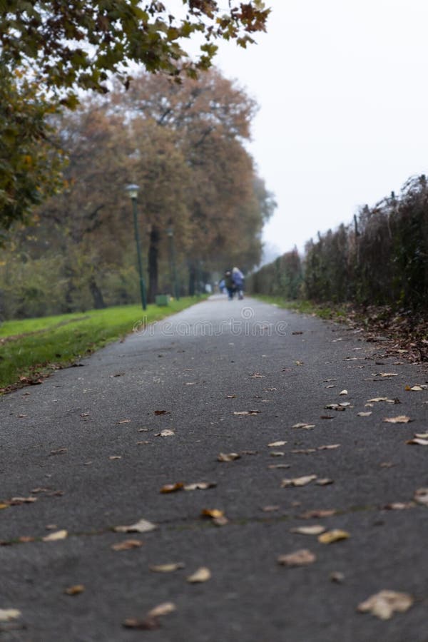 Walking Trail in the Park at Autumn Cloudy Day Stock Photo - Image of ...