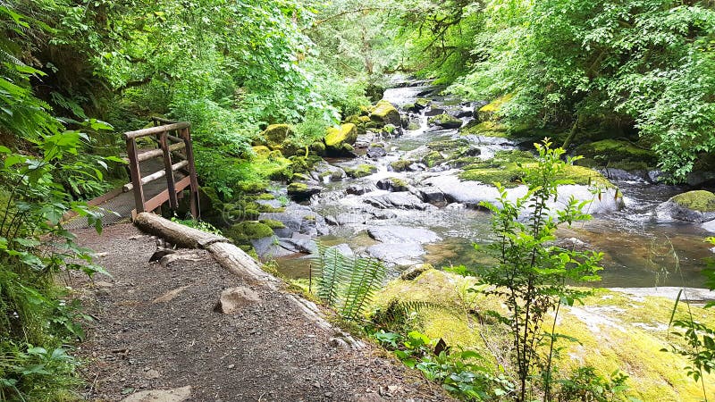 Walking trail and river stock image. Image of path, nature - 126260713