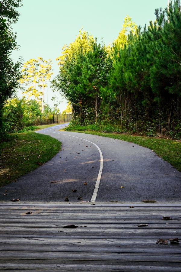 Walking Trail into Sunlight Stock Photo - Image of trees, recreation ...